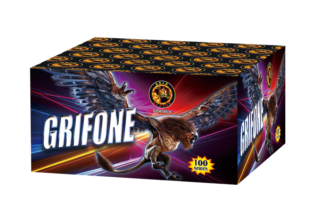 ECHT100-6 GRIFONE 20*25*120* 4/1 100 LANCI F2 – Il mio negozio